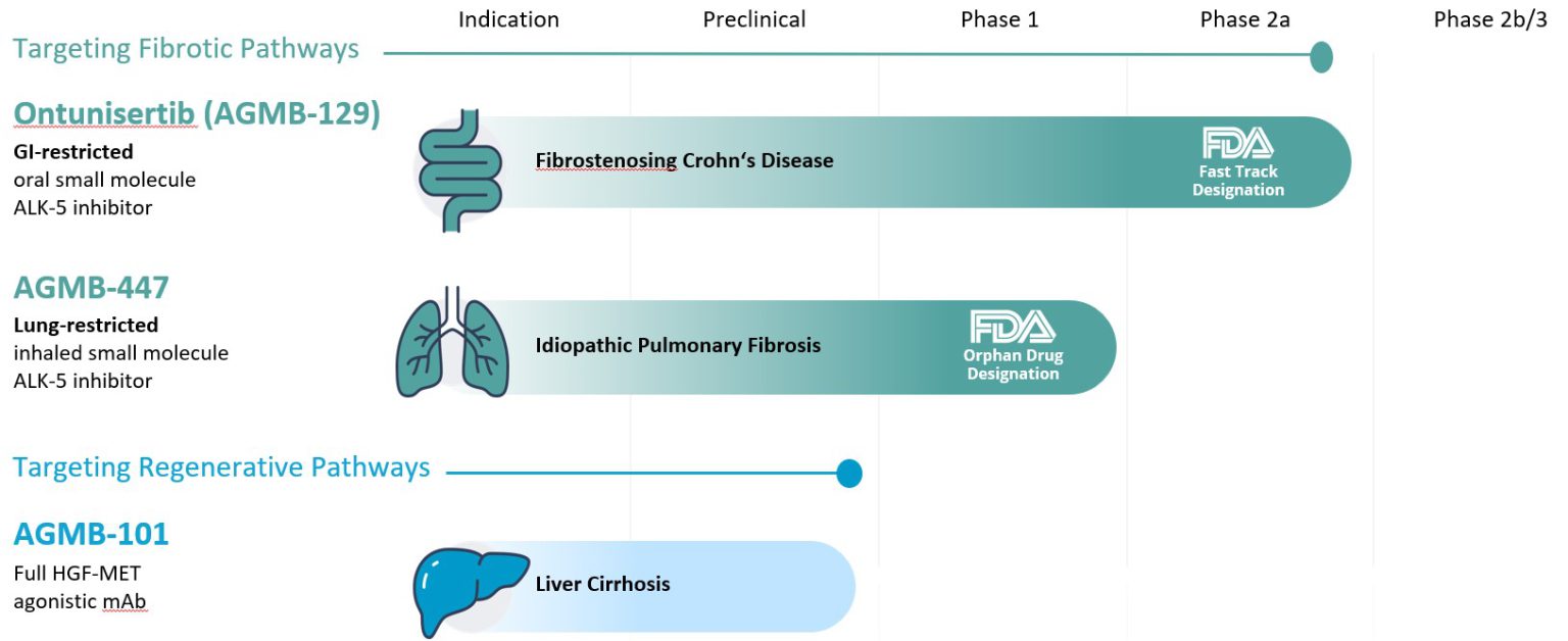 Pipeline – Agomab Therapeutics